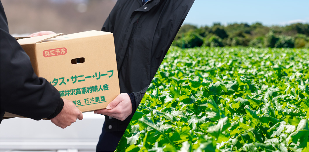 Corporate Information | The Delica Foods Group