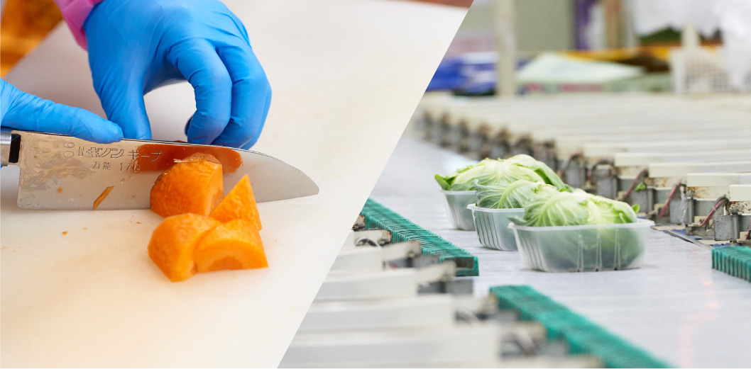 Corporate Information | The Delica Foods Group