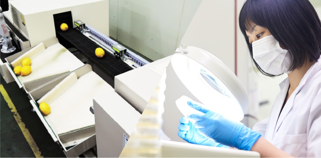 Corporate Information | The Delica Foods Group