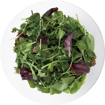 Corporate Information | The Delica Foods Group