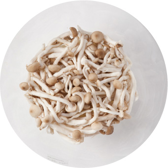 Corporate Information | The Delica Foods Group