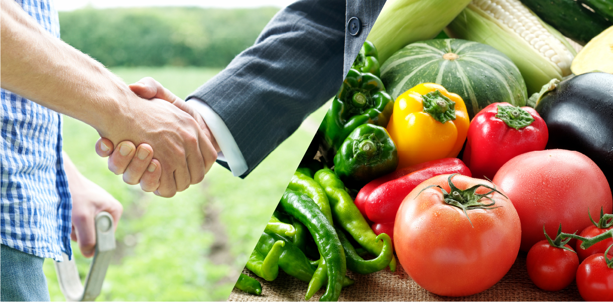 Corporate Information | The Delica Foods Group