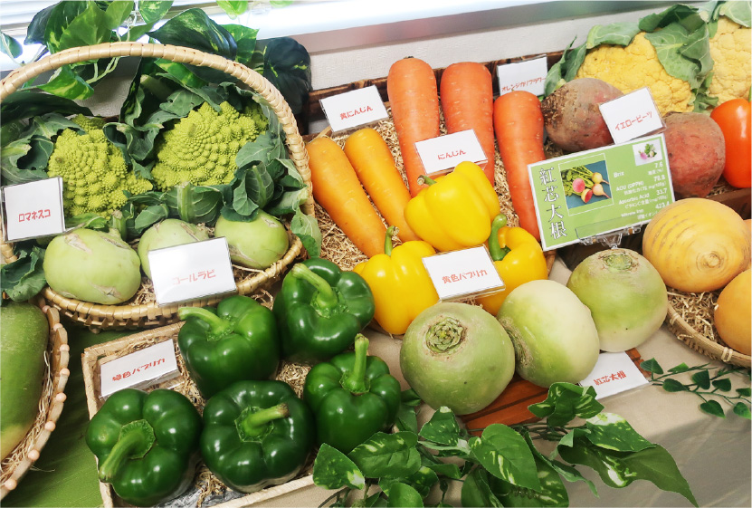 Mirai Project | The Delica Foods Group